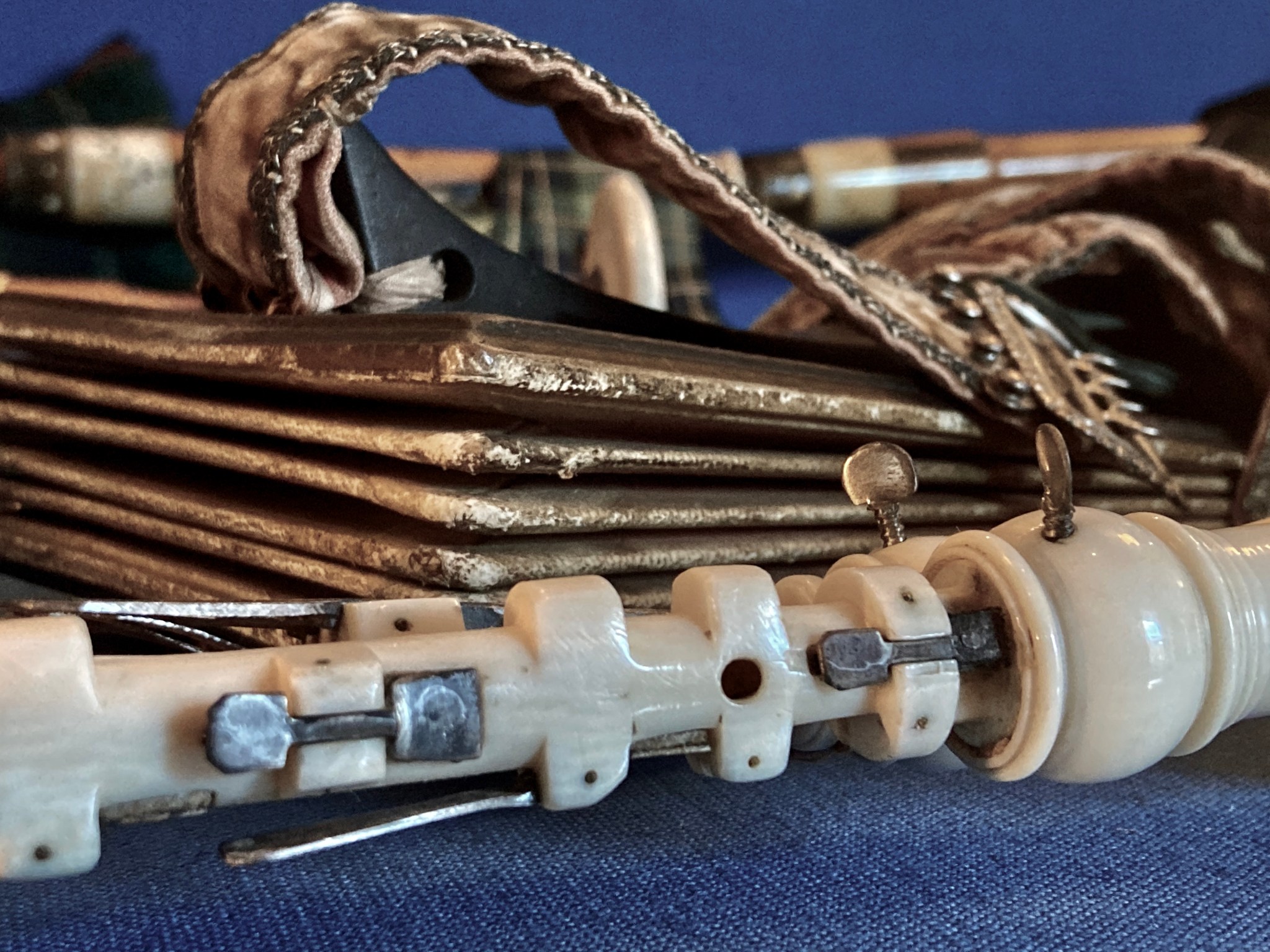 The Musette Society – The international hub for all things Musette!